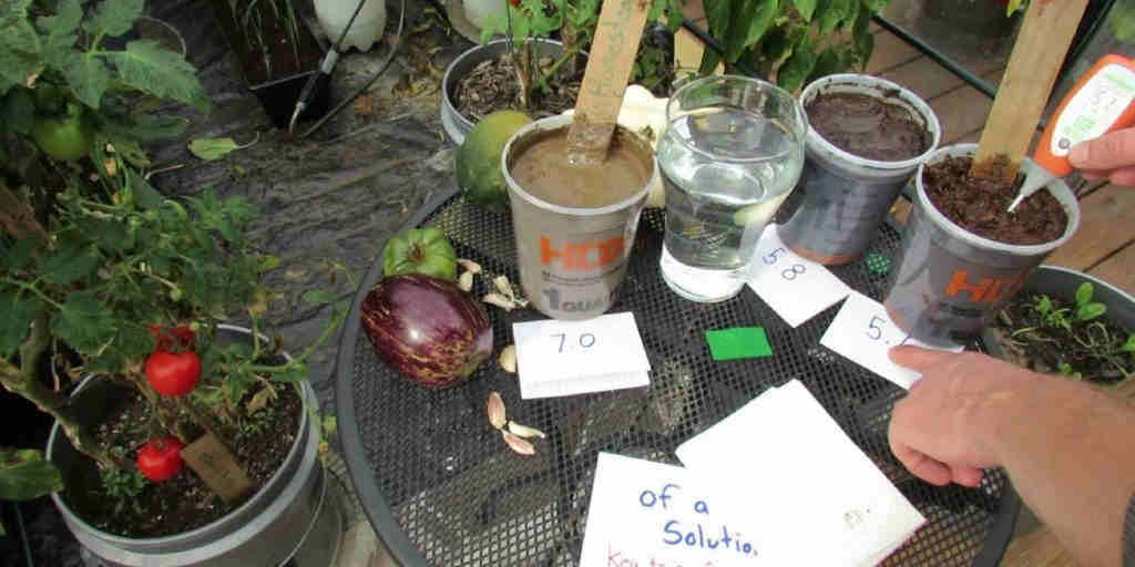 How to Read a pH Meter: Easy Step by Step Guide? – Water Evidence